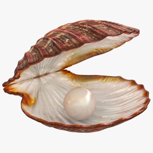 Clam shell pearl 3D model - TurboSquid 1544998