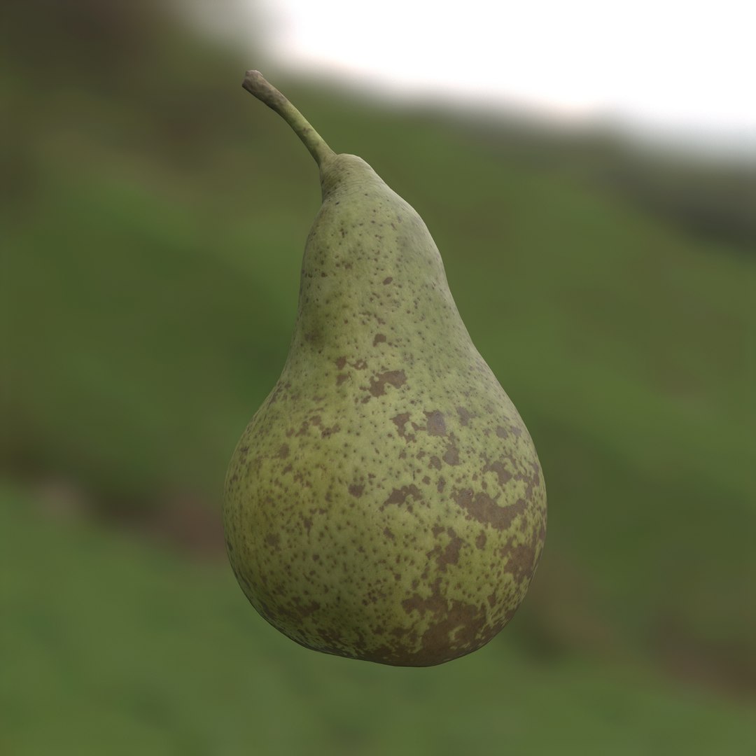 modelo 3d Pera - TurboSquid 1545681
