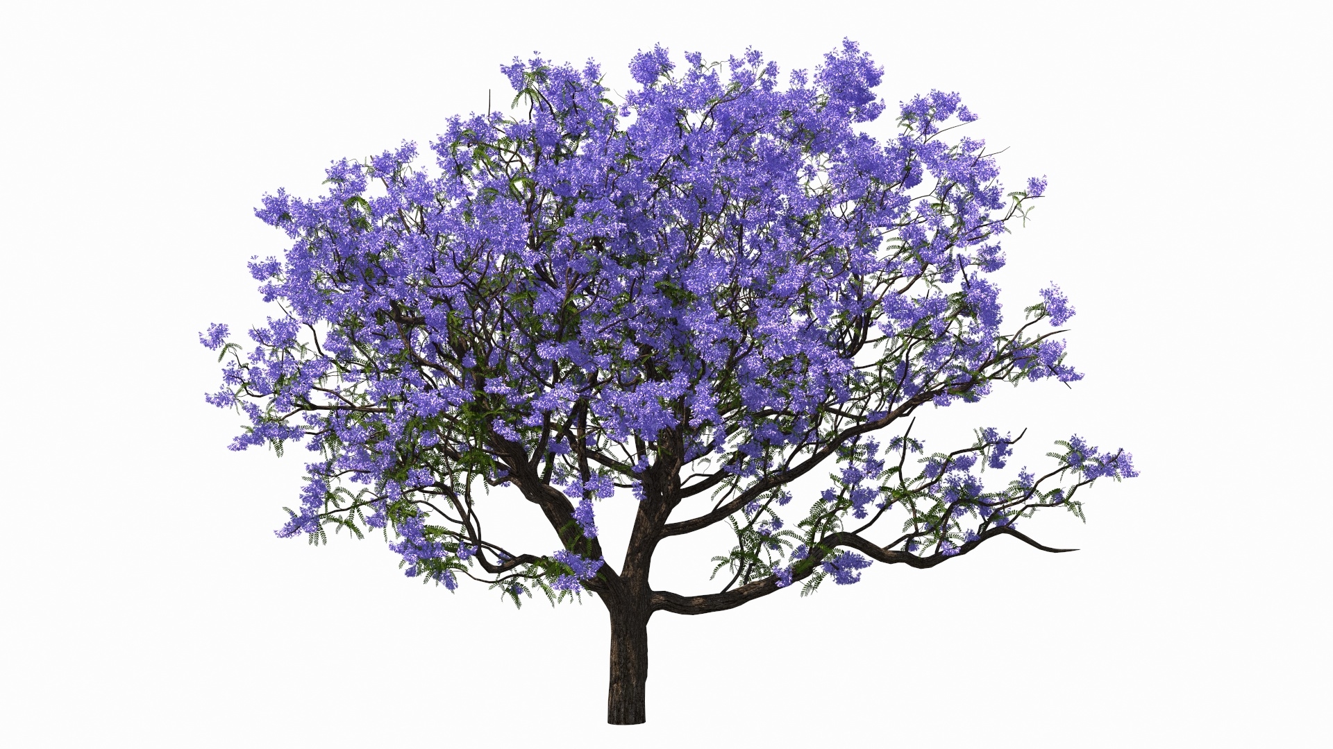 3D model flowering bushes trees 6 - TurboSquid 1546079