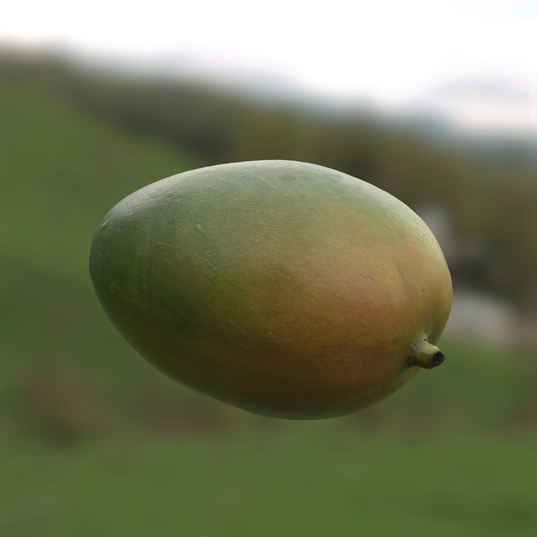Mango 3D-Modell - TurboSquid 1546169