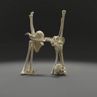3D letter f bones skeleton model - TurboSquid 1544826