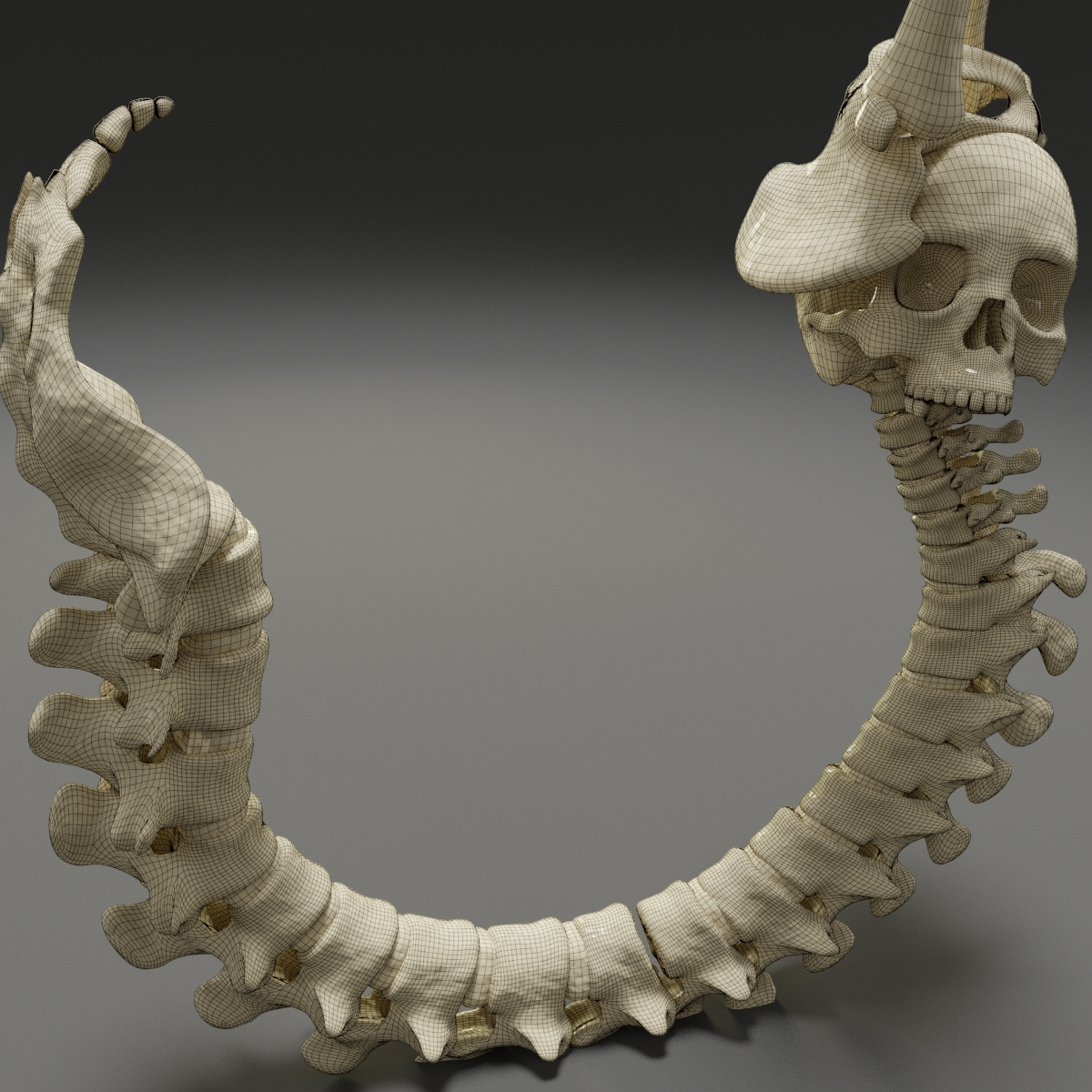 Letter j bones skeleton 3D - TurboSquid 1546260
