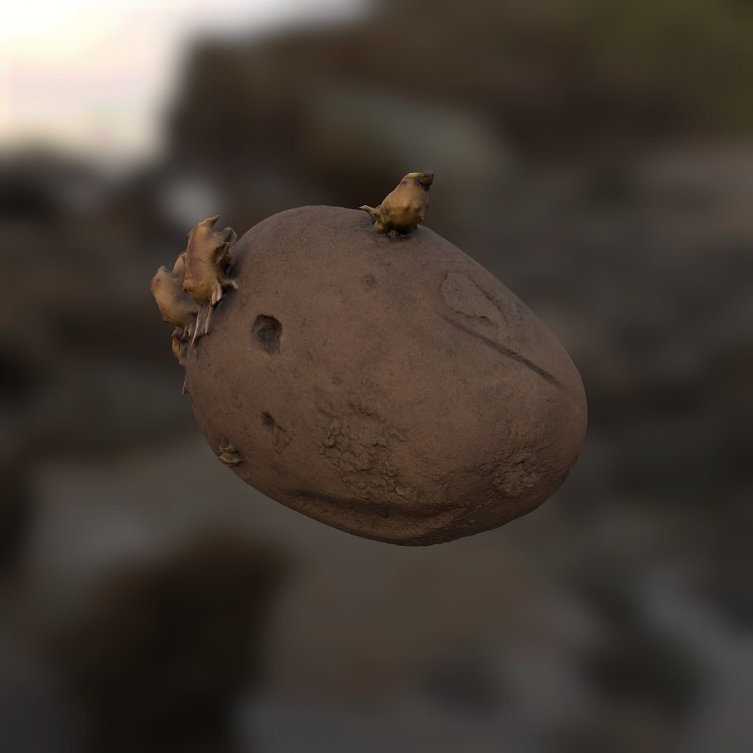 Realistic potato 3D model - TurboSquid 1546242
