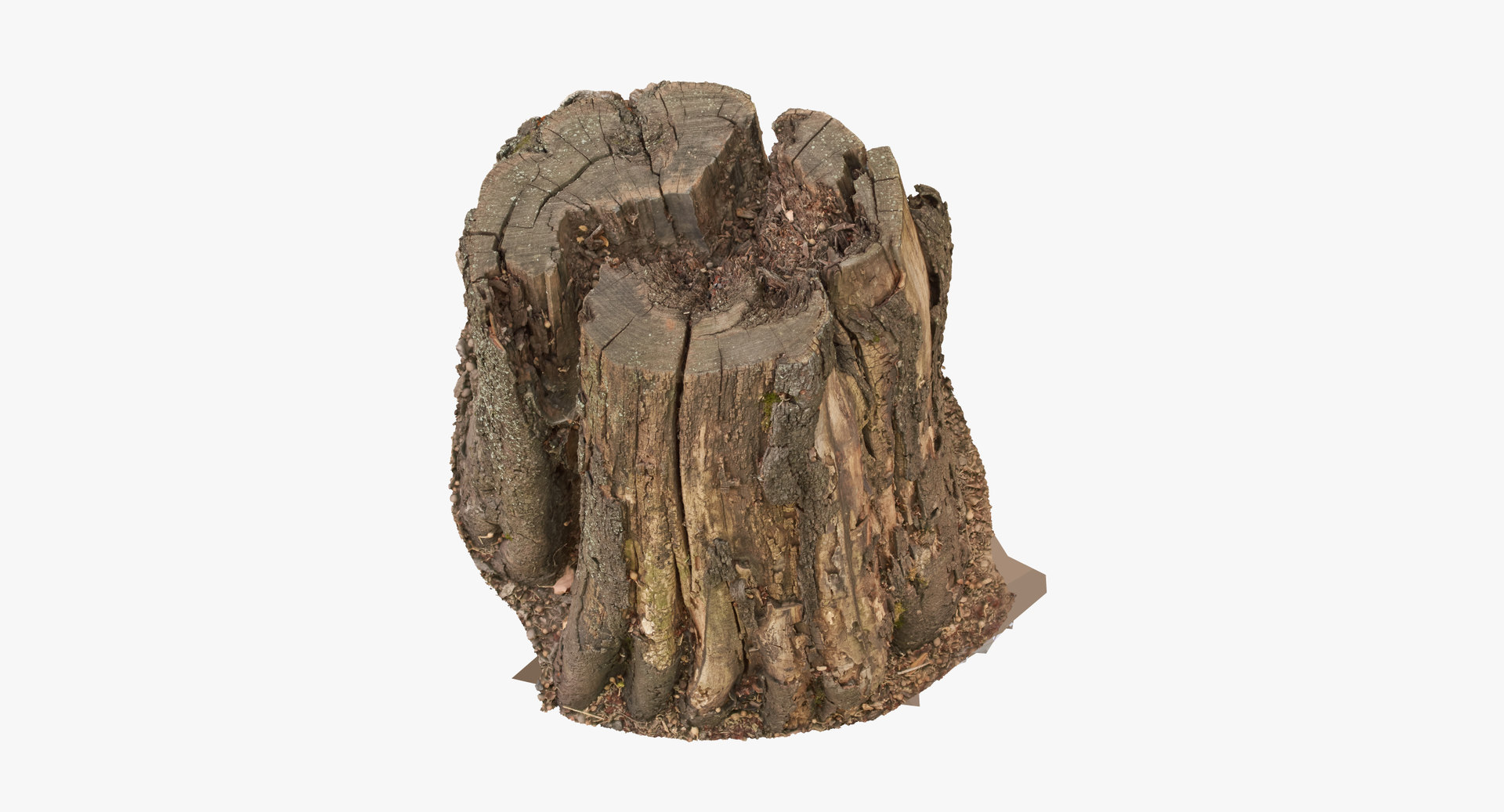 Tree stump 03 raw model - TurboSquid 1546392