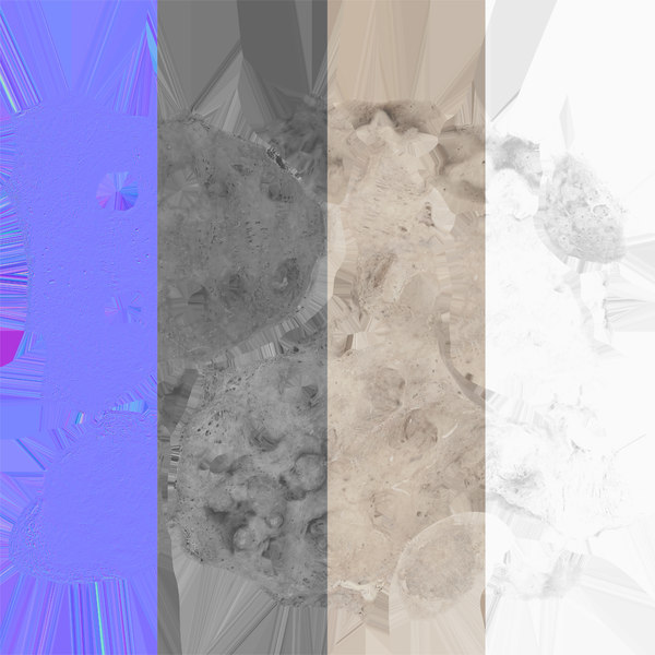 3D human pelvis damaged sacrum model - TurboSquid 1546713