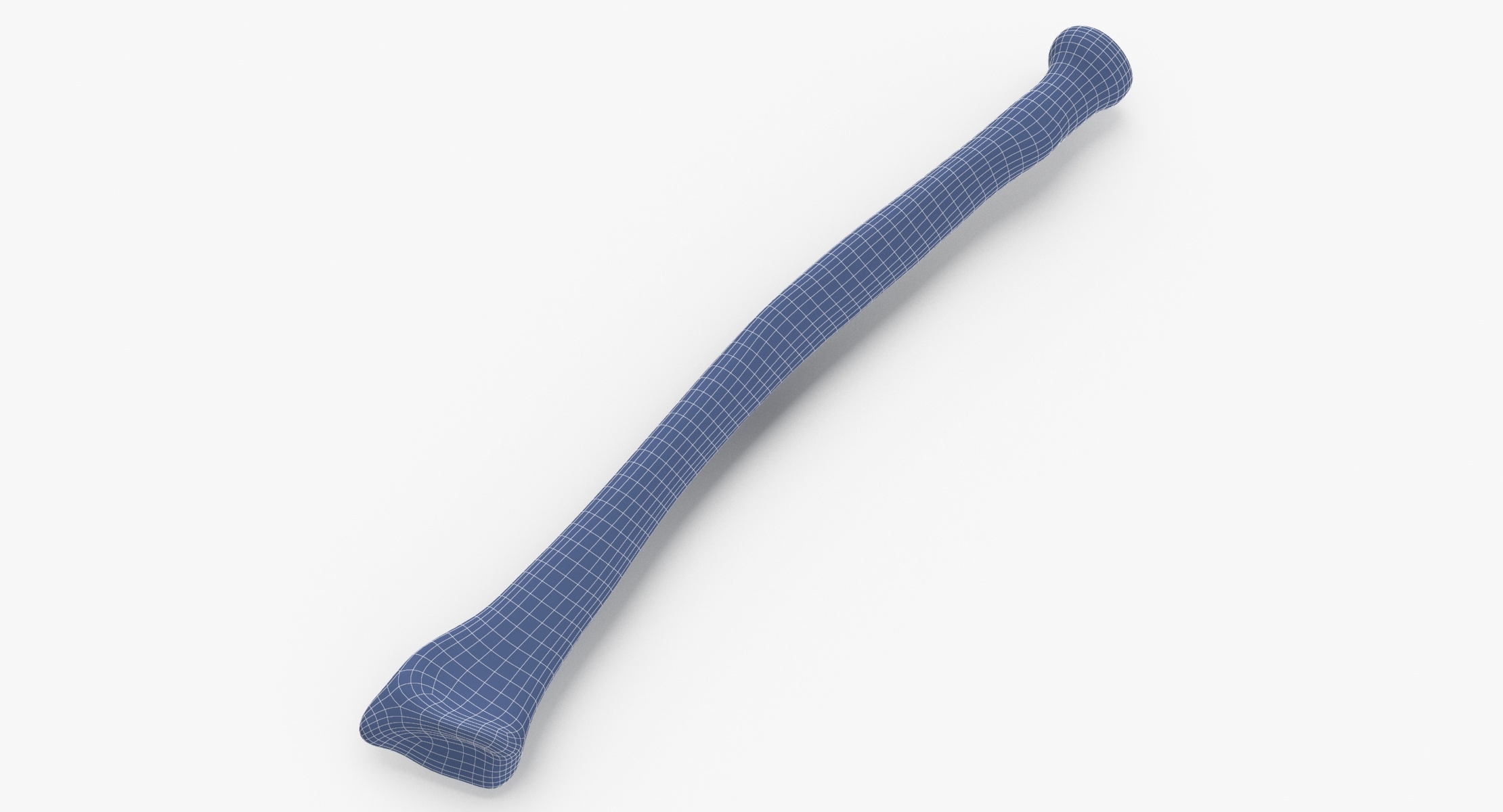 Human radius radial bone 3D model - TurboSquid 1546712