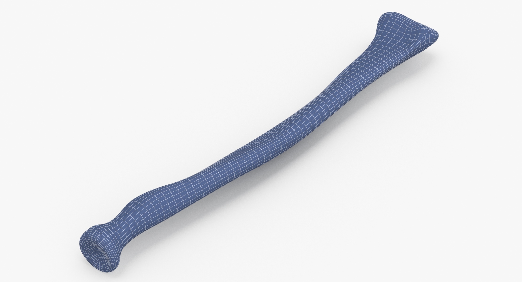 Human radius radial bone 3D model - TurboSquid 1546712
