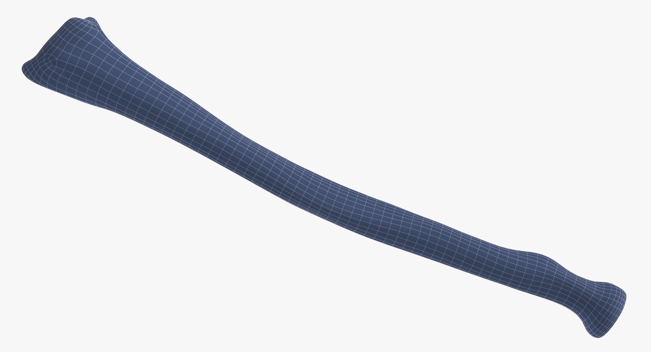 Human radius radial bone 3D model - TurboSquid 1546712