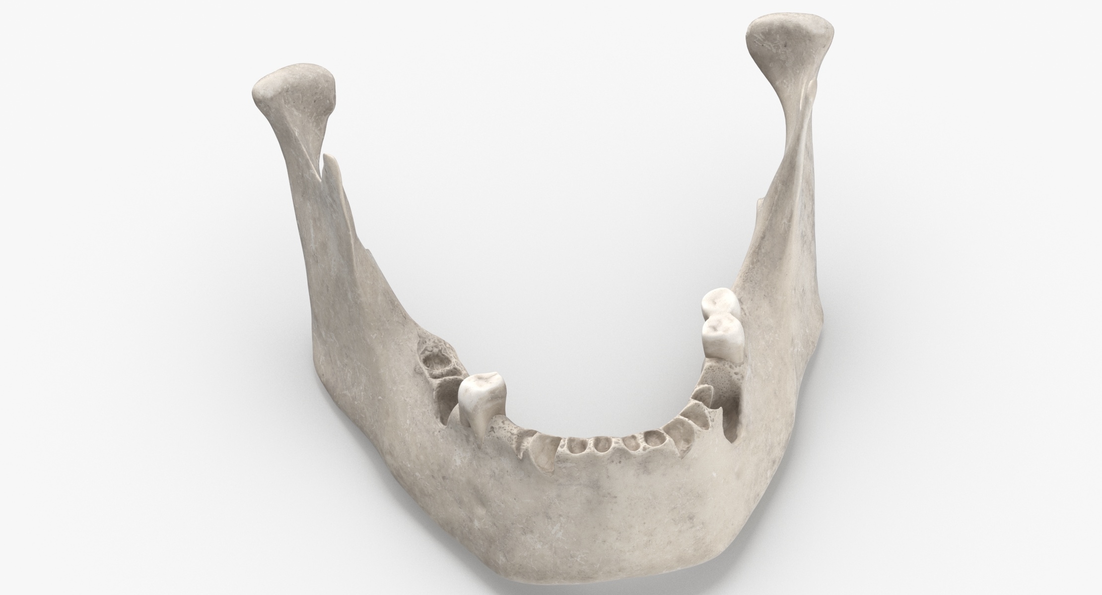Human jawbone mandible 02 3D model - TurboSquid 1547302