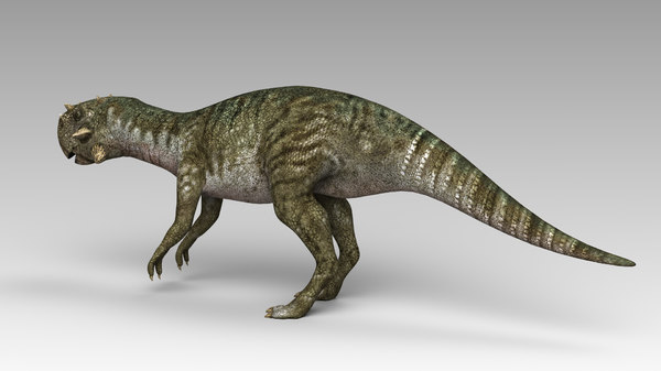 Psitacossauro Modelo 3D - TurboSquid 906152