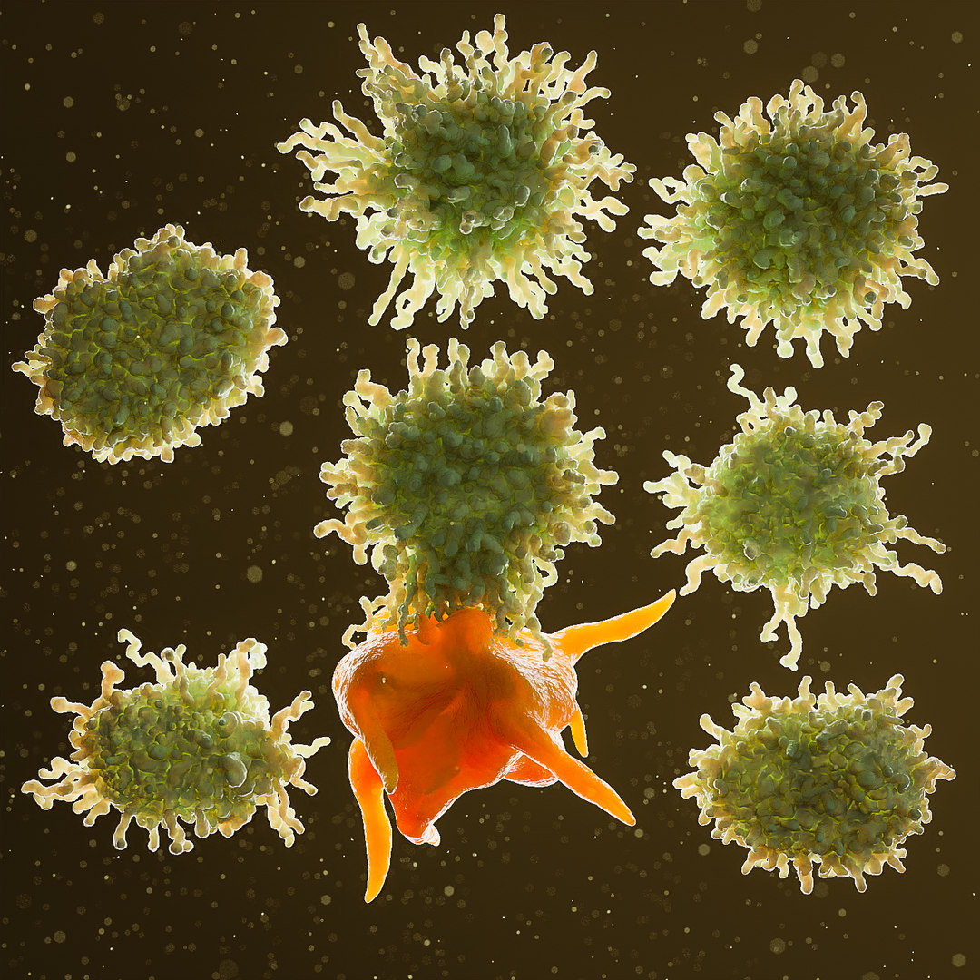 Cancer Cell 3d Model Turbosquid 1547829