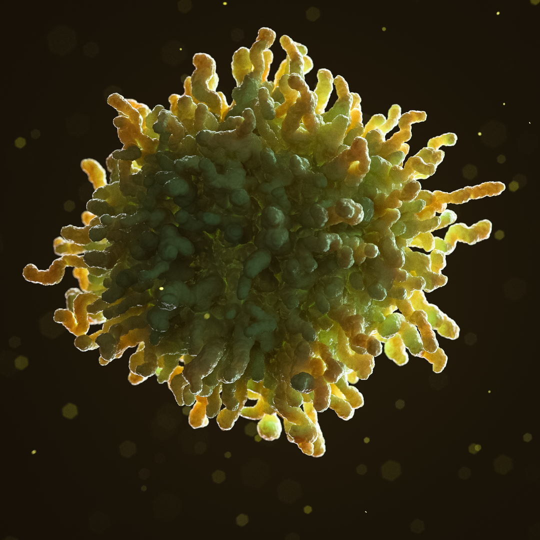 Cancer Cell 3d Model Turbosquid 1547829
