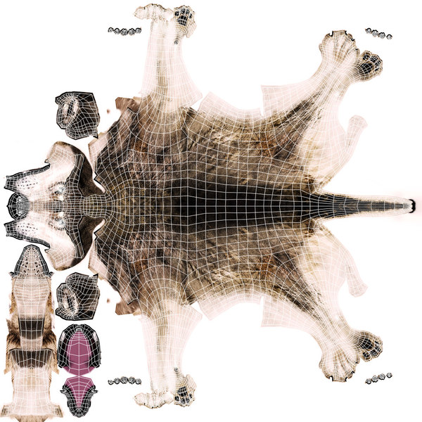 modelo 3d Wolf RIG XGEN - TurboSquid 1548295