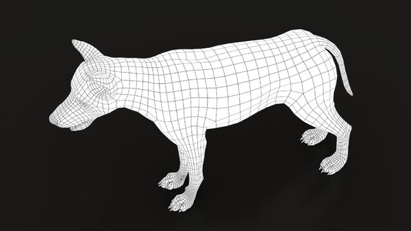 modelo 3d Wolf RIG XGEN - TurboSquid 1548295