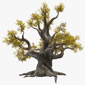 Free Blender Tree Models | TurboSquid