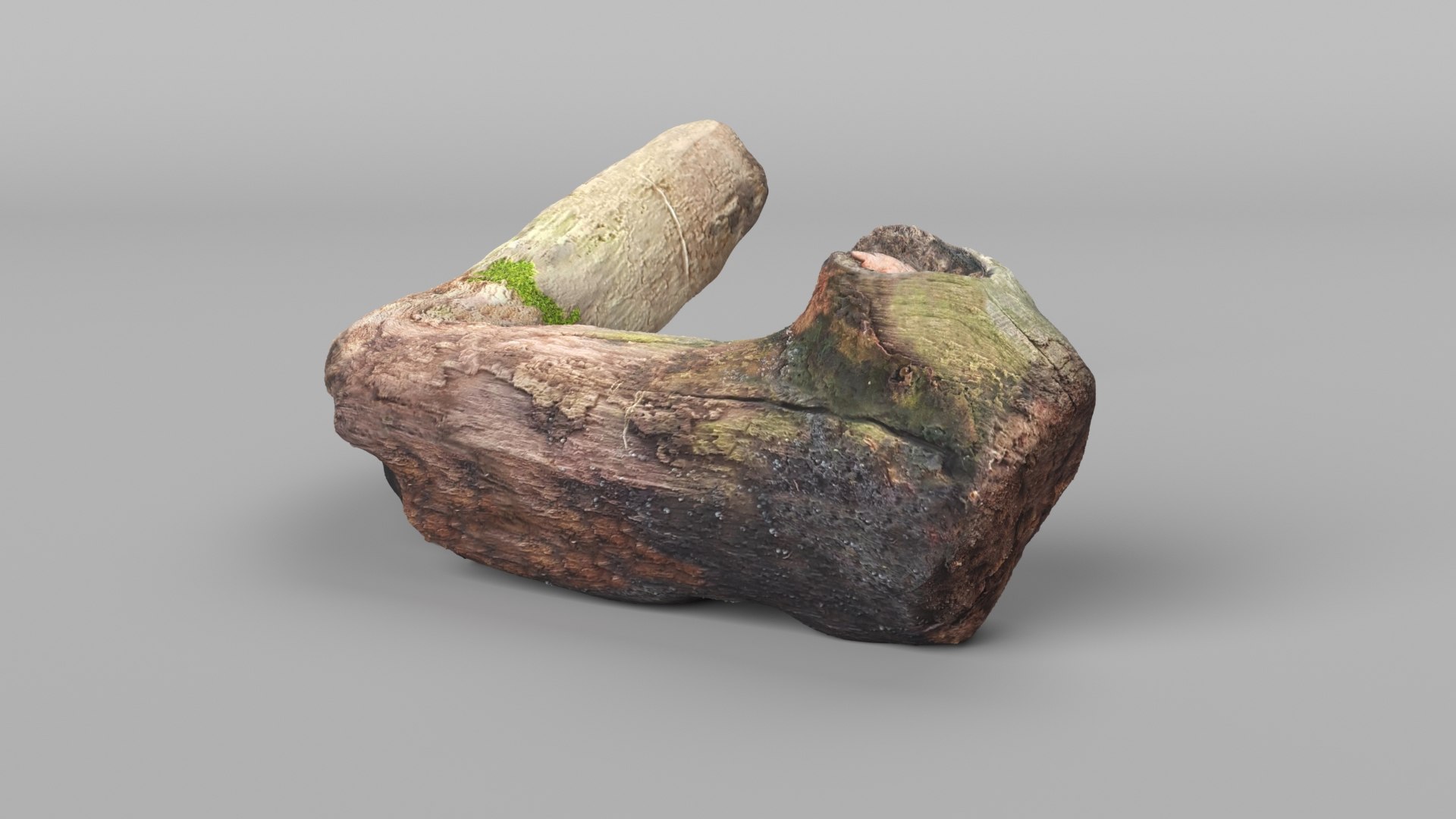 3D curved log model - TurboSquid 1528724