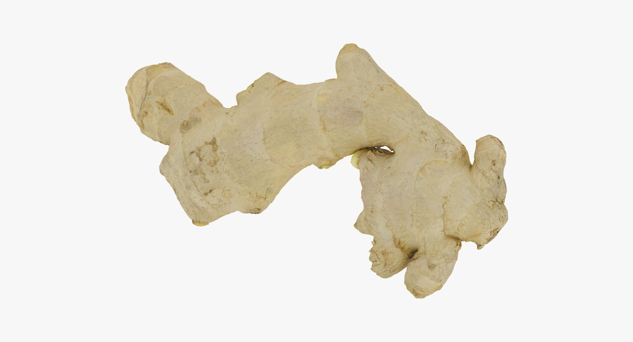 3D ginger root 04 raw - TurboSquid 1550270