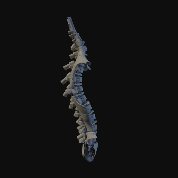 3D spine mechanical 01 - TurboSquid 1550466