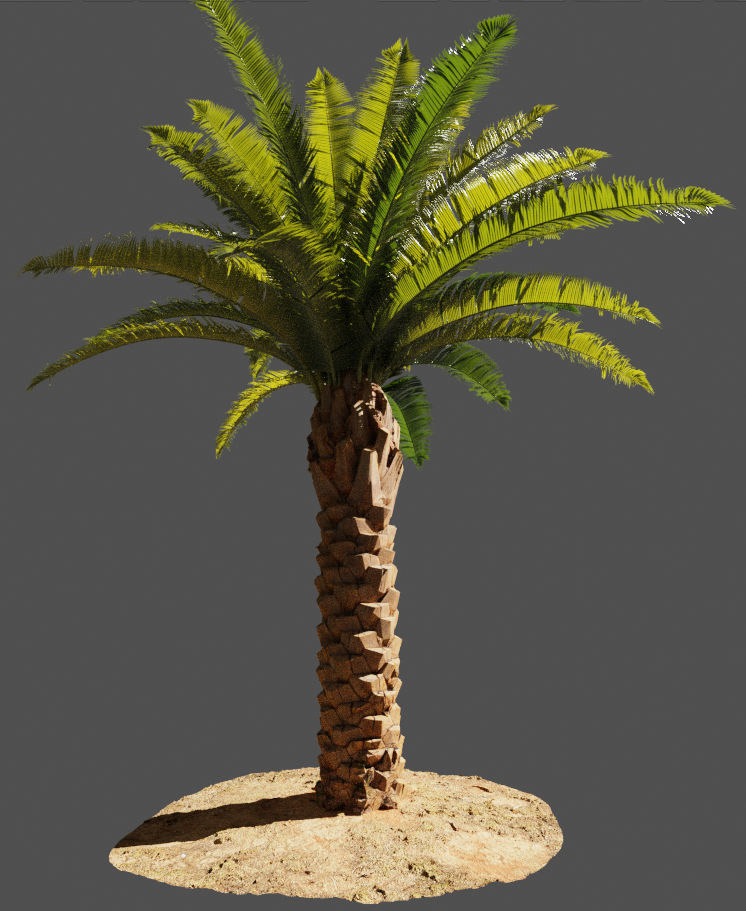 3D palm tree model - TurboSquid 1550662