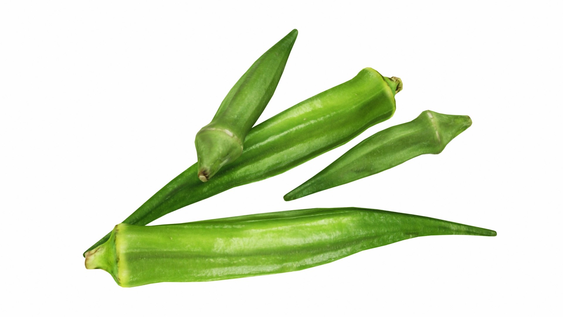 Okra 3D model - TurboSquid 1551623