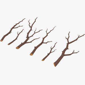 Branch 3D Models for Download | TurboSquid