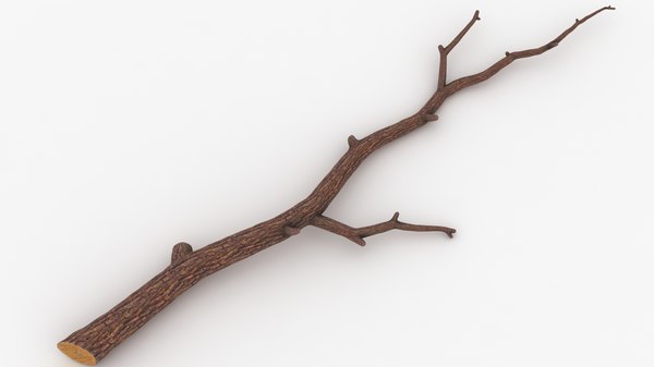 3D branch scanline ready - TurboSquid 1552735