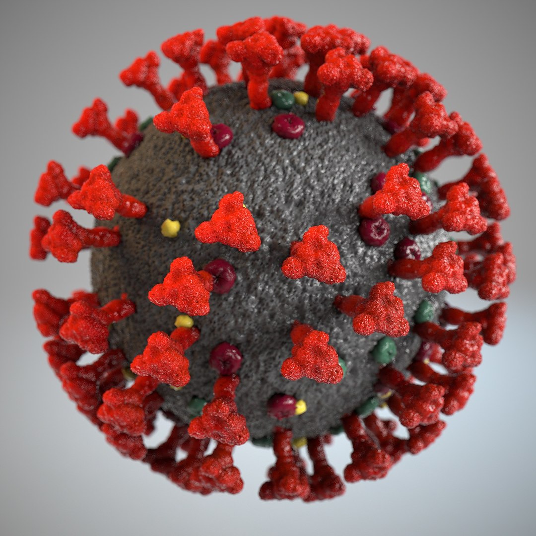 Virus 3D model - TurboSquid 1553118