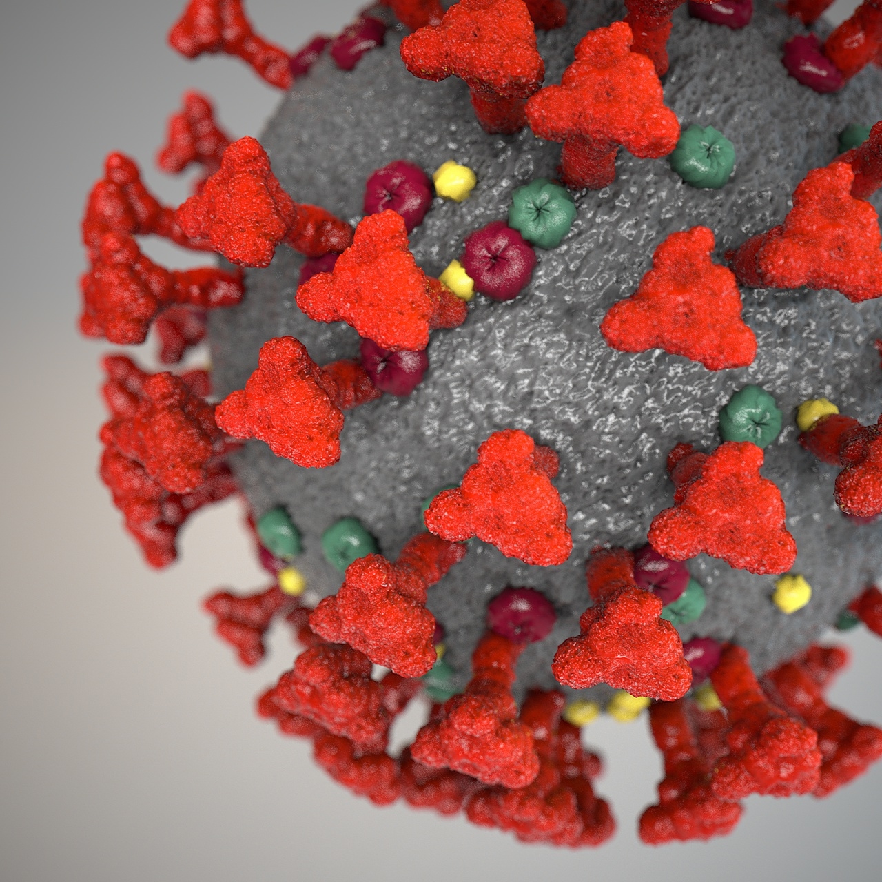 Virus 3D model - TurboSquid 1553118