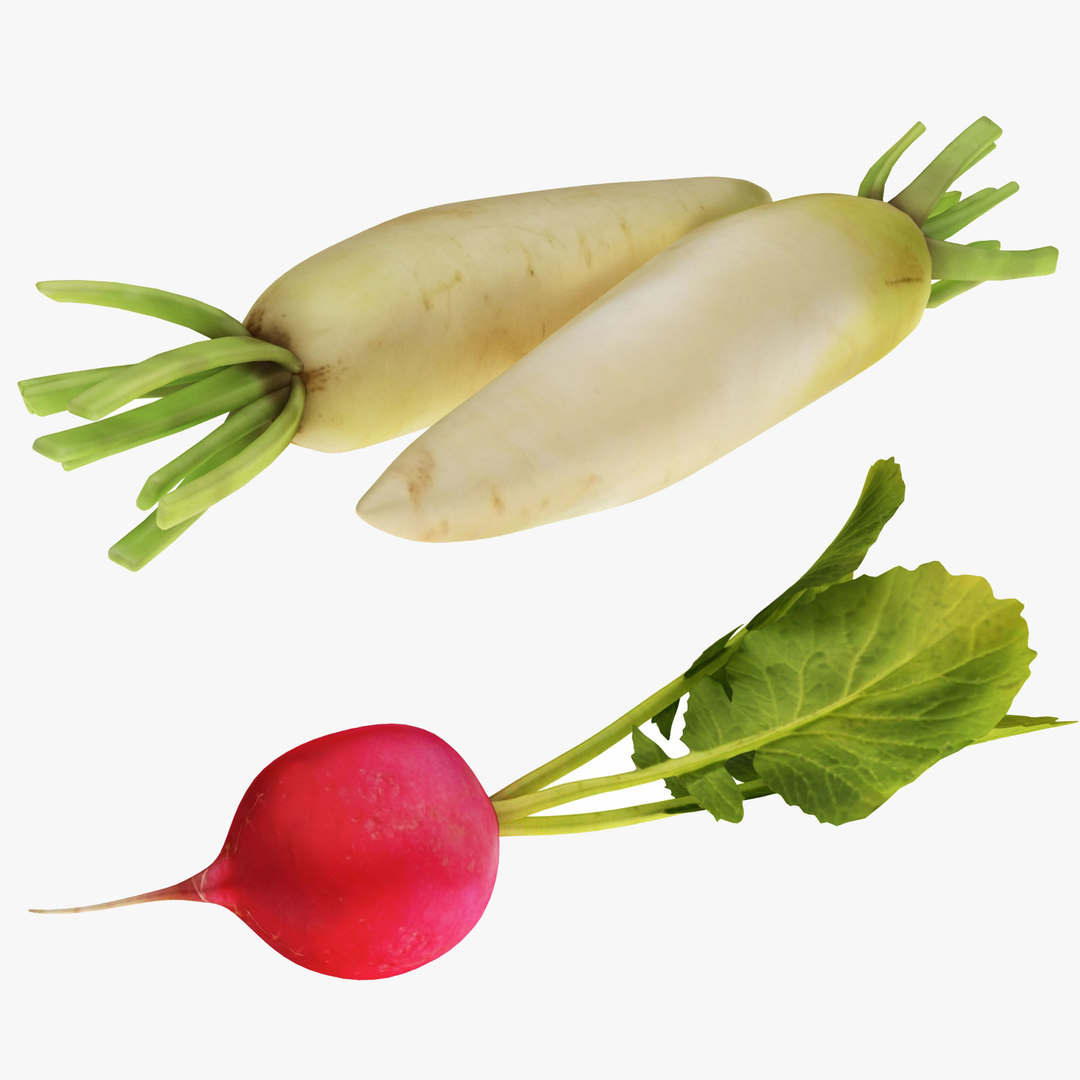 3D model radish red white - TurboSquid 1553699