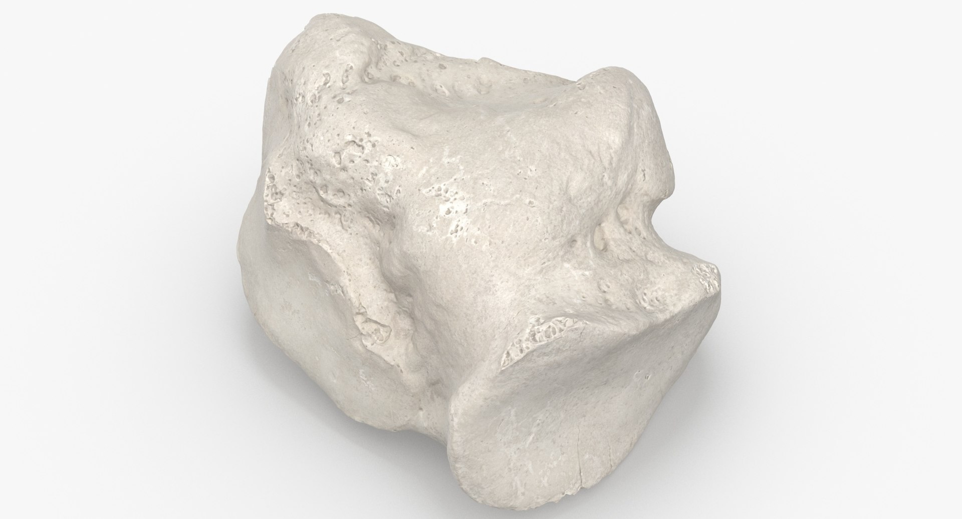 Cuboid bone 01 white model - TurboSquid 1553732