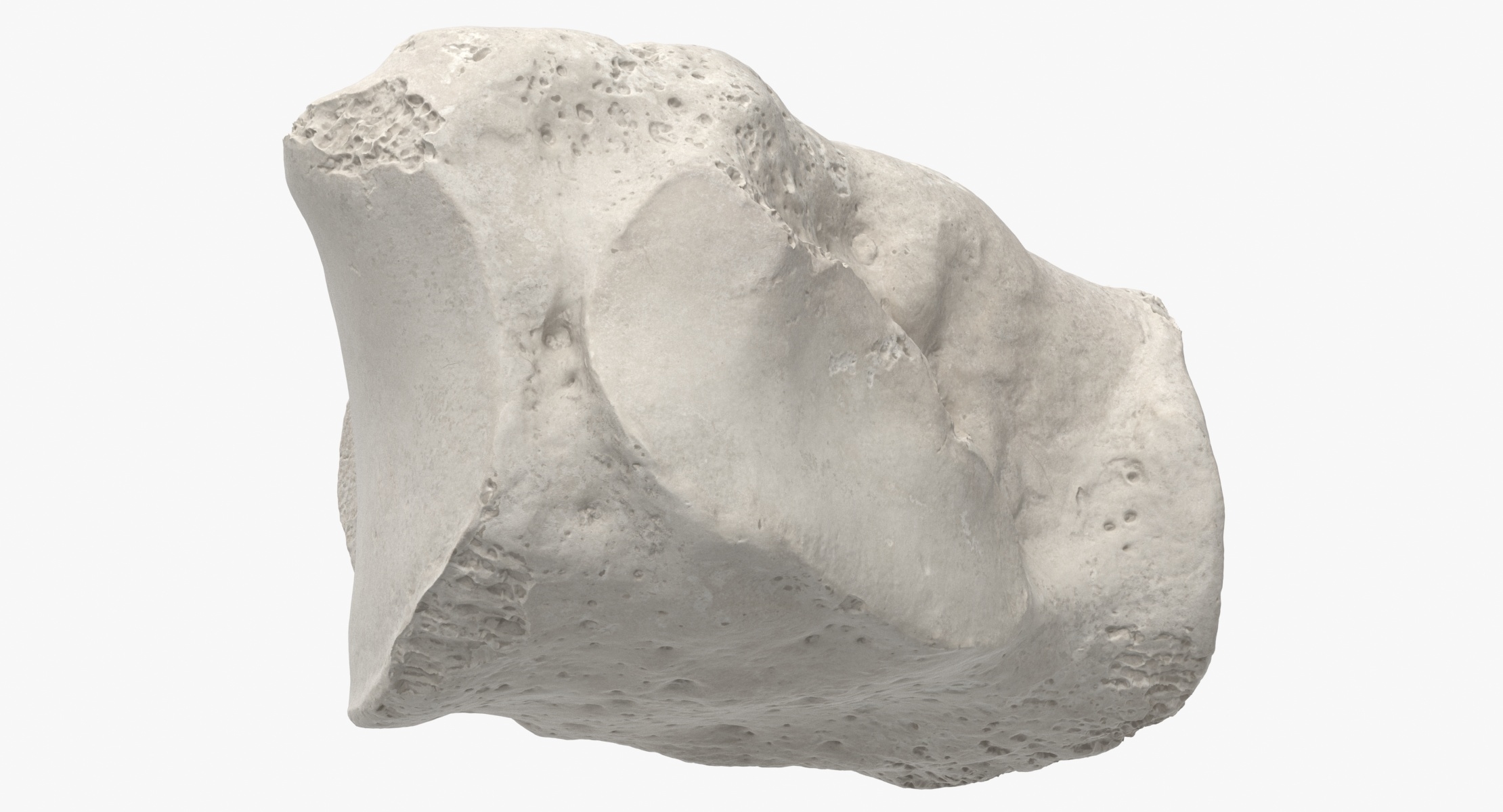 Cuboid bone 01 white model - TurboSquid 1553732