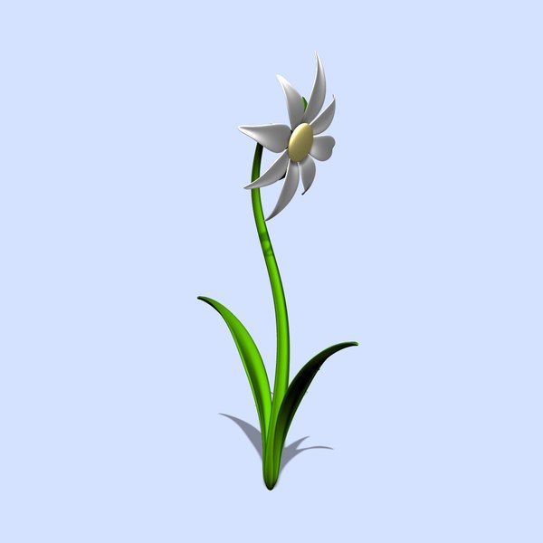 3d Daisy Model Turbosquid 1553924