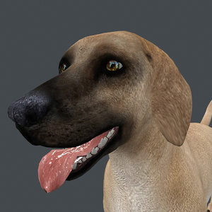 Dog Blender Models for Download | TurboSquid