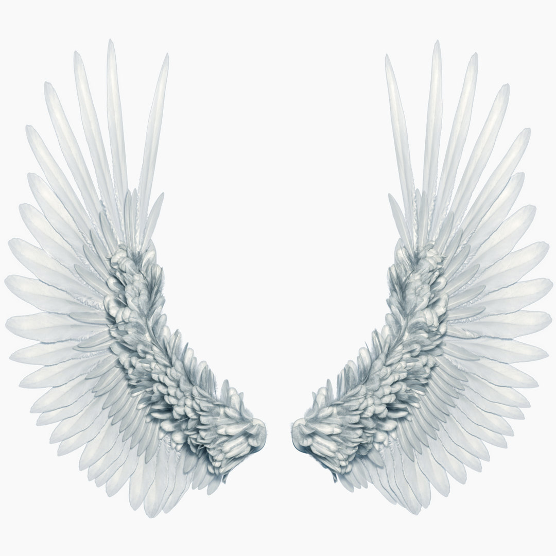 3D model realistic angel wings rigged - TurboSquid 1555526