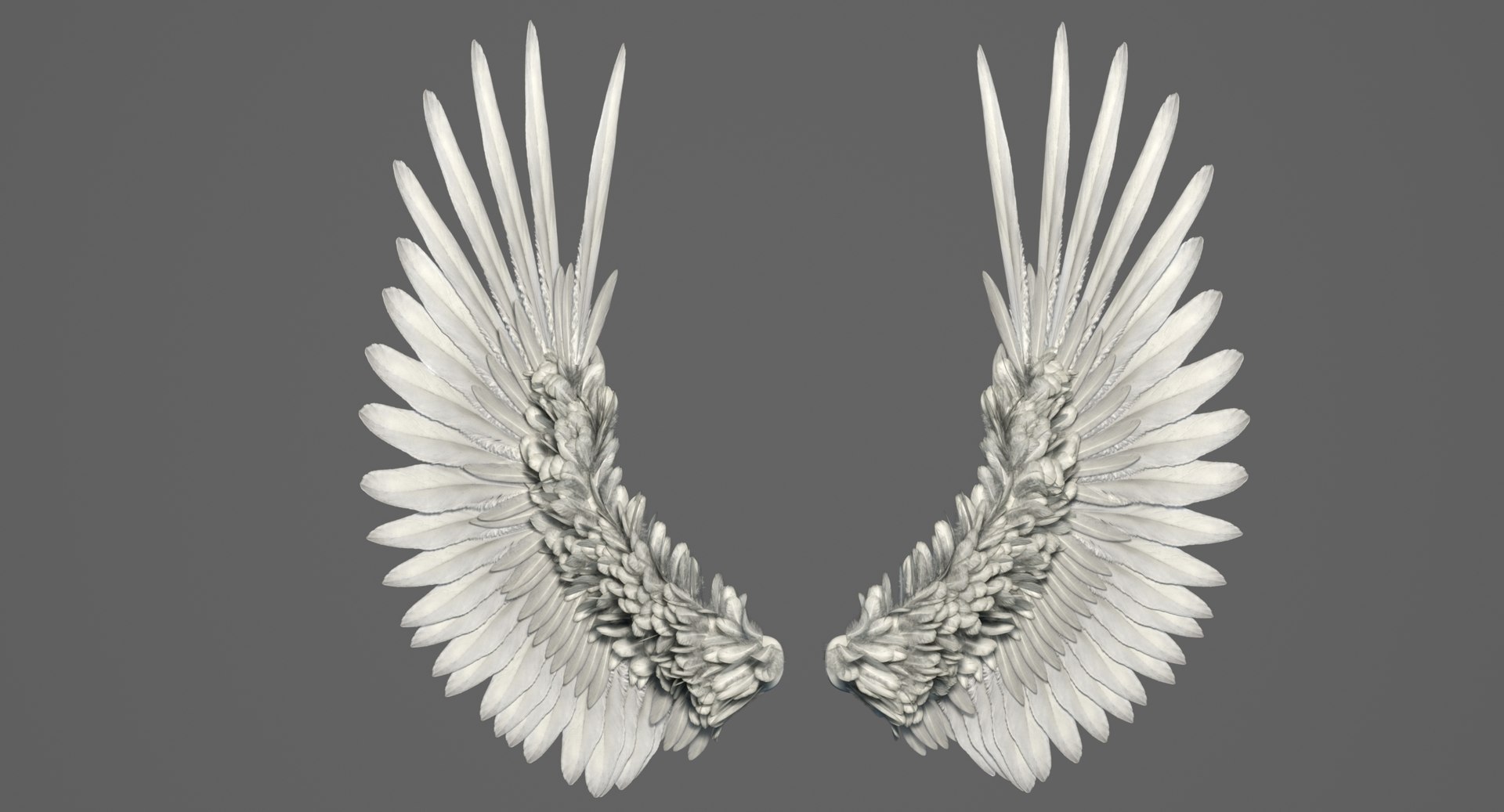 modèle 3D de Angel Wings Rigged - TurboSquid 1555526