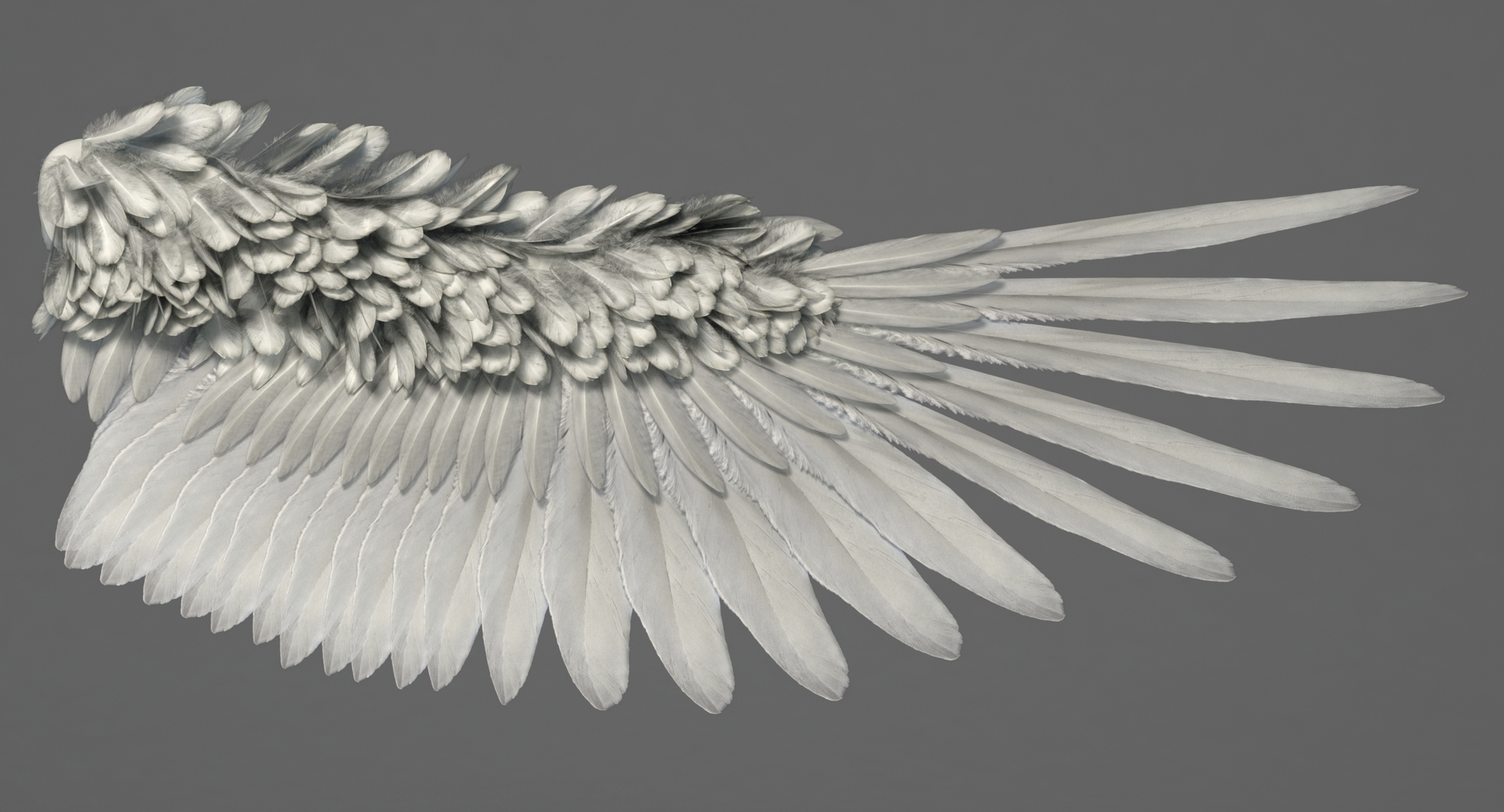 3D model realistic angel wings rigged - TurboSquid 1555526