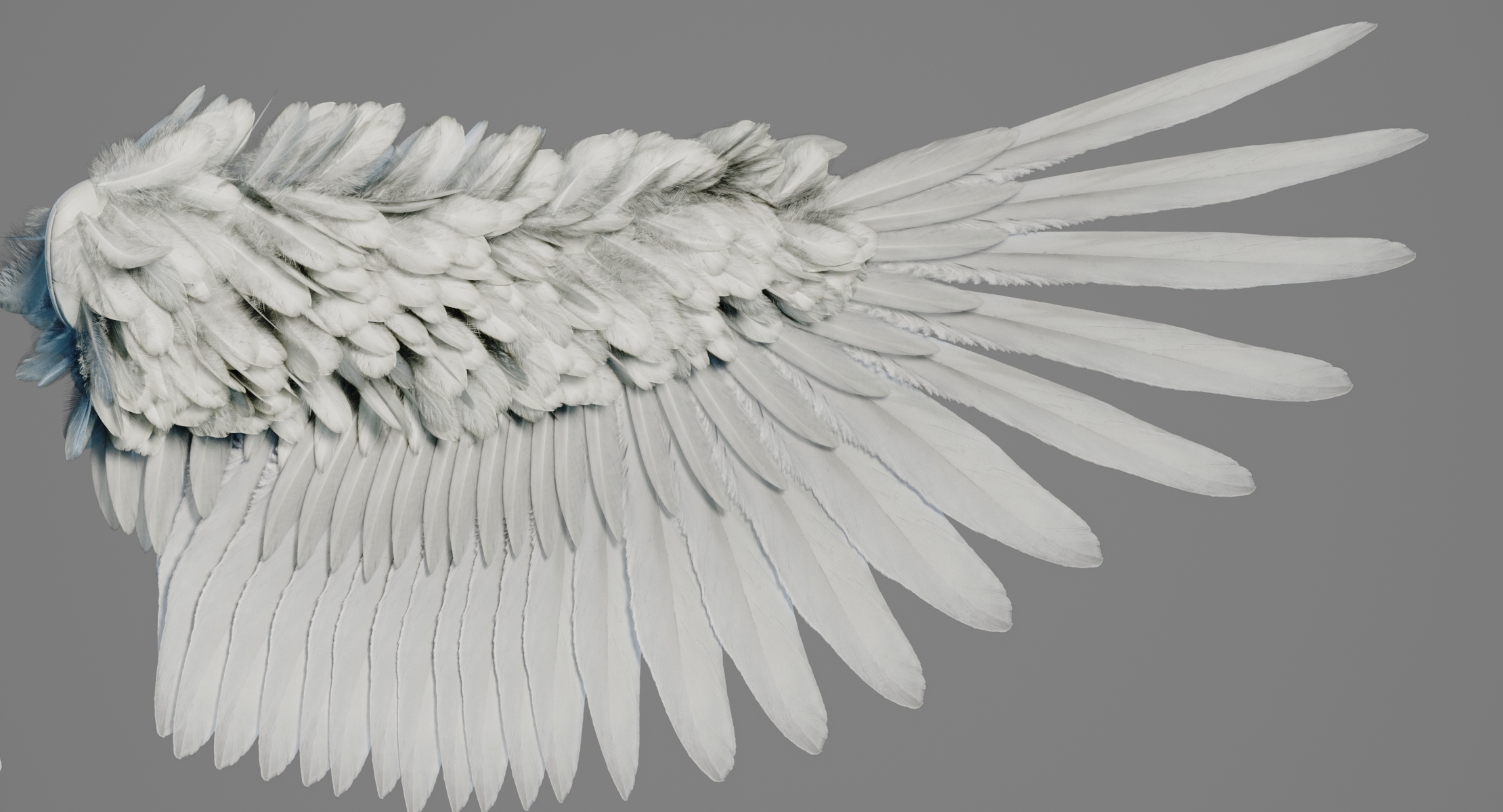 3D model realistic angel wings rigged - TurboSquid 1555526