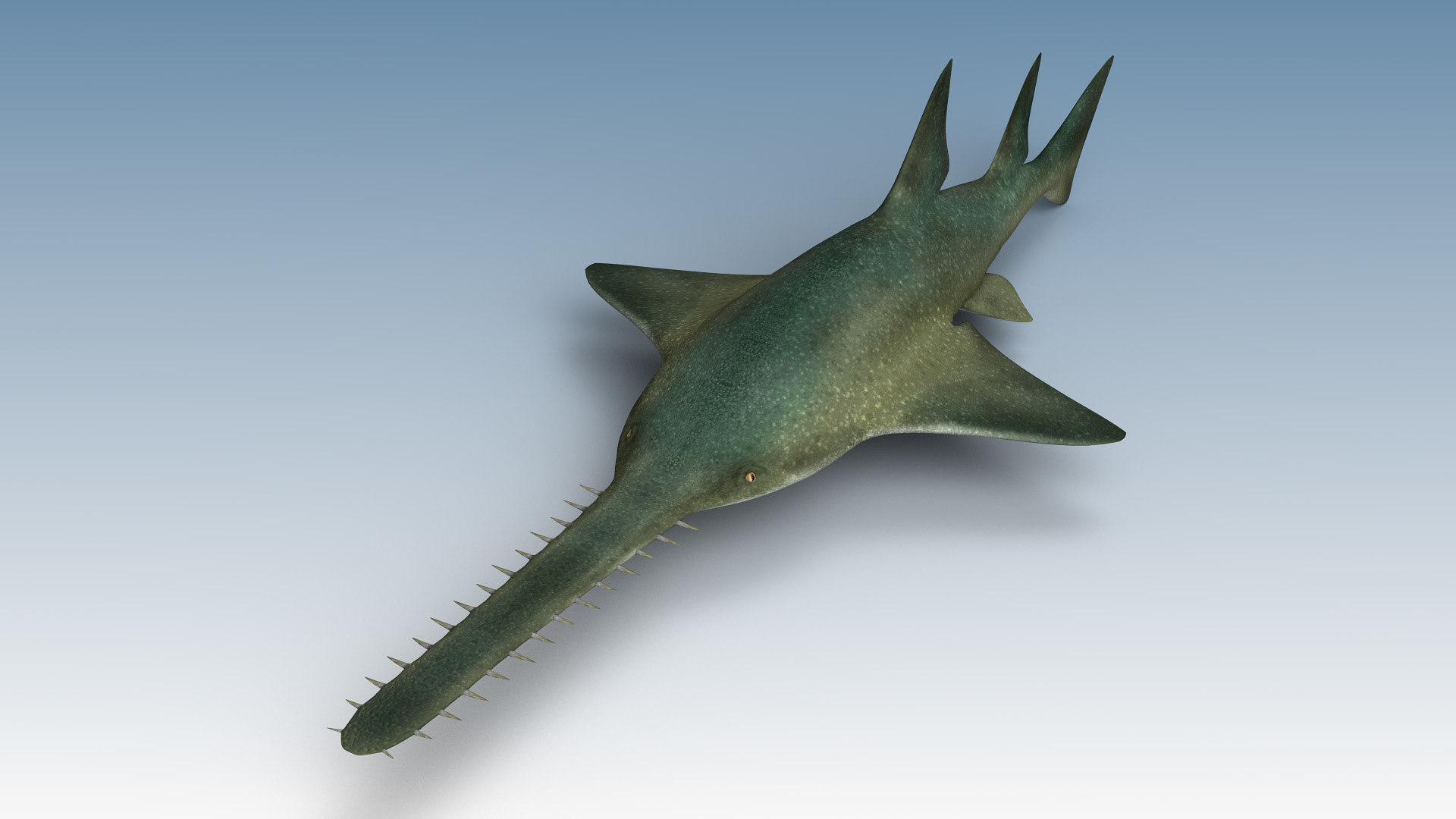 3d model sawfish fish