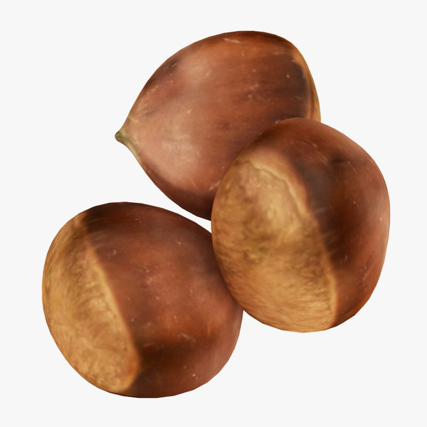 Chest nut 3D model - TurboSquid 1555781
