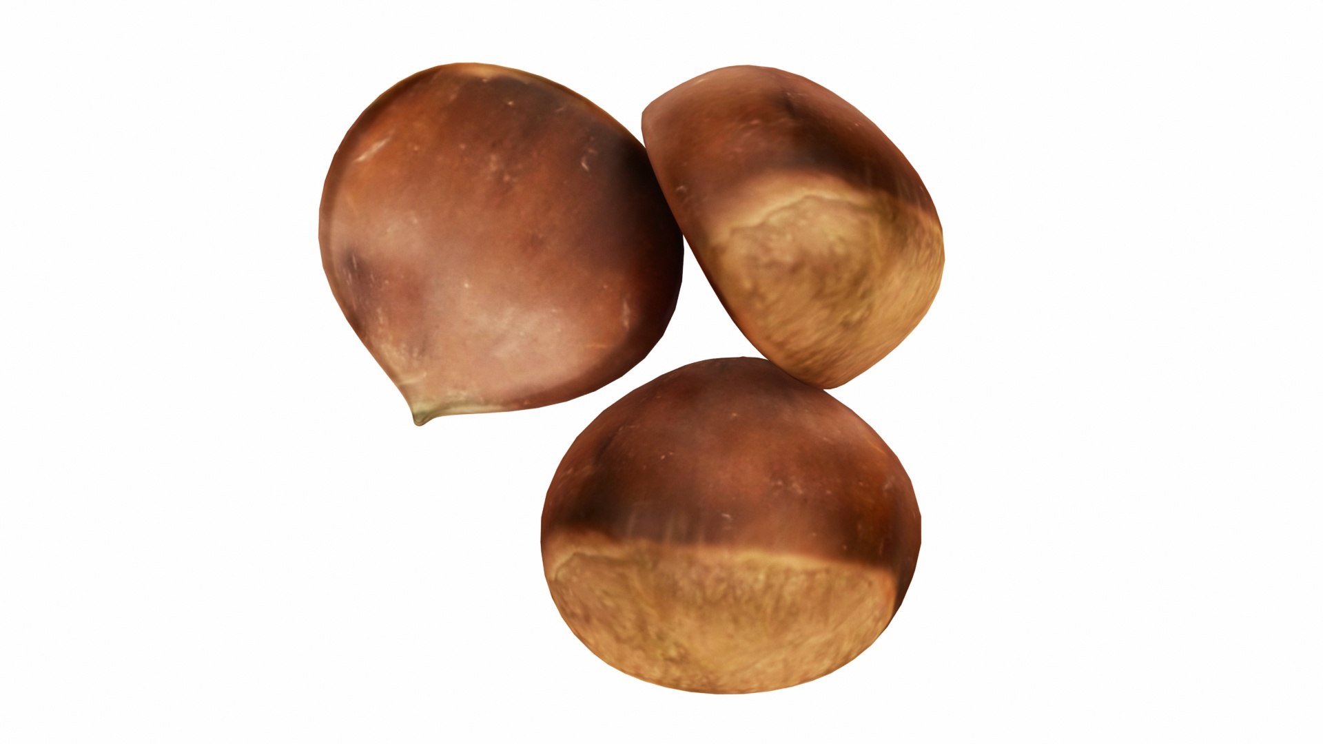 Chest nut 3D model - TurboSquid 1555781