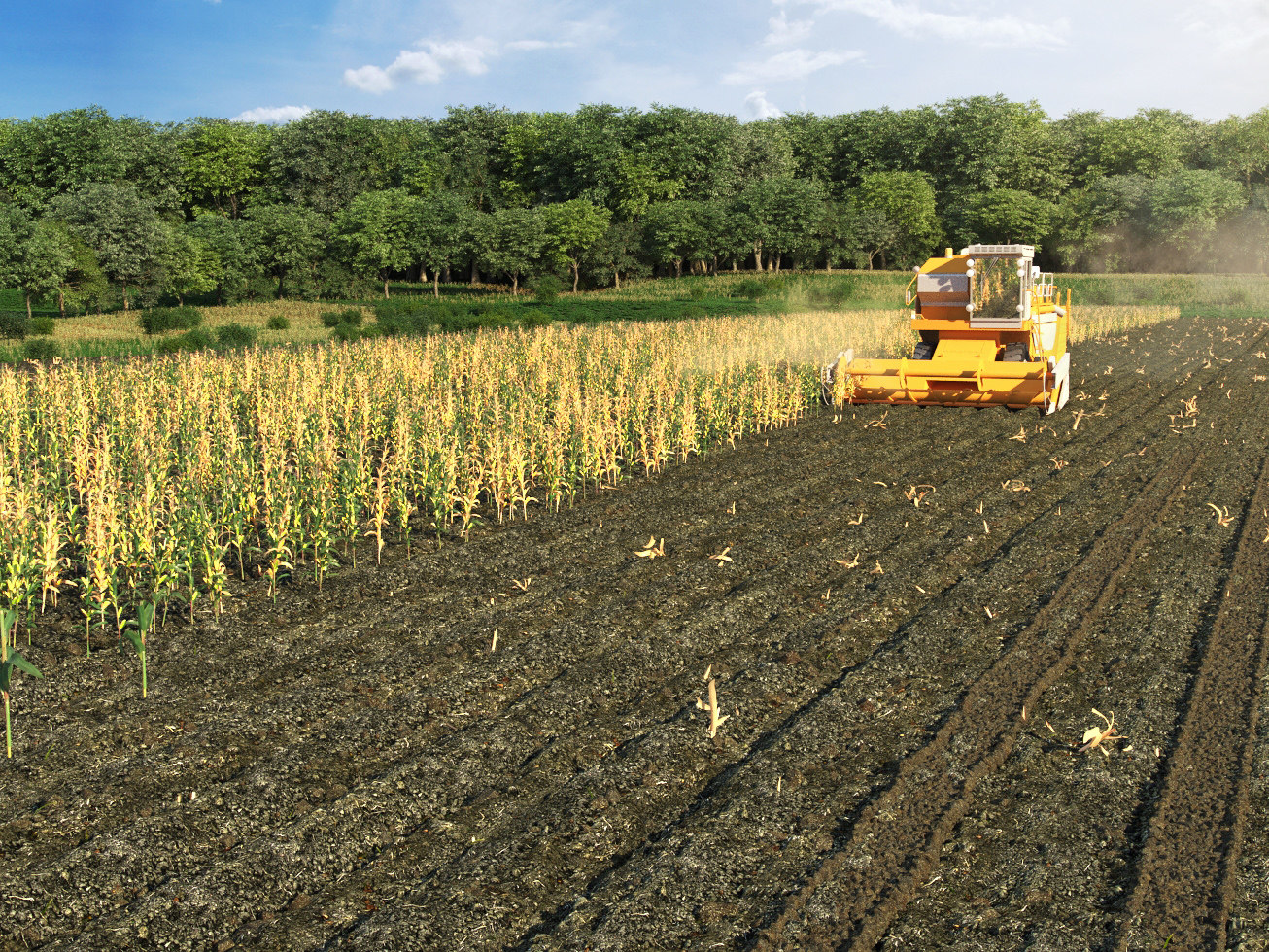 Scene agricultural field 3D model - TurboSquid 1557161