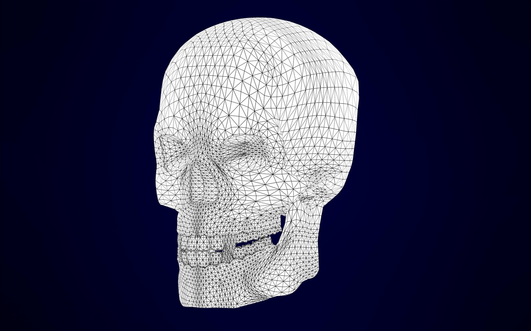 modèle 3D de Crâne humain - TurboSquid 1526091