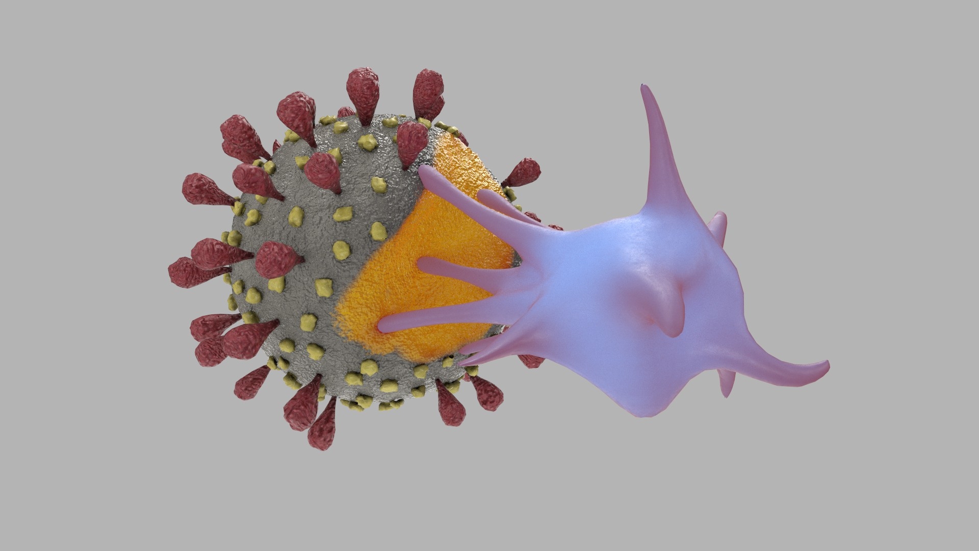 T-cell virus 3D model - TurboSquid 1557497