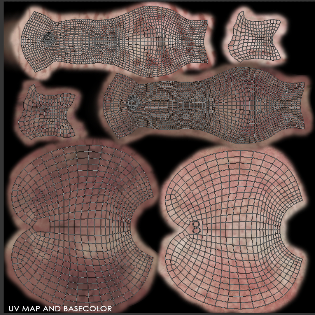 3D model realistic stomach anatomy - TurboSquid 1557781