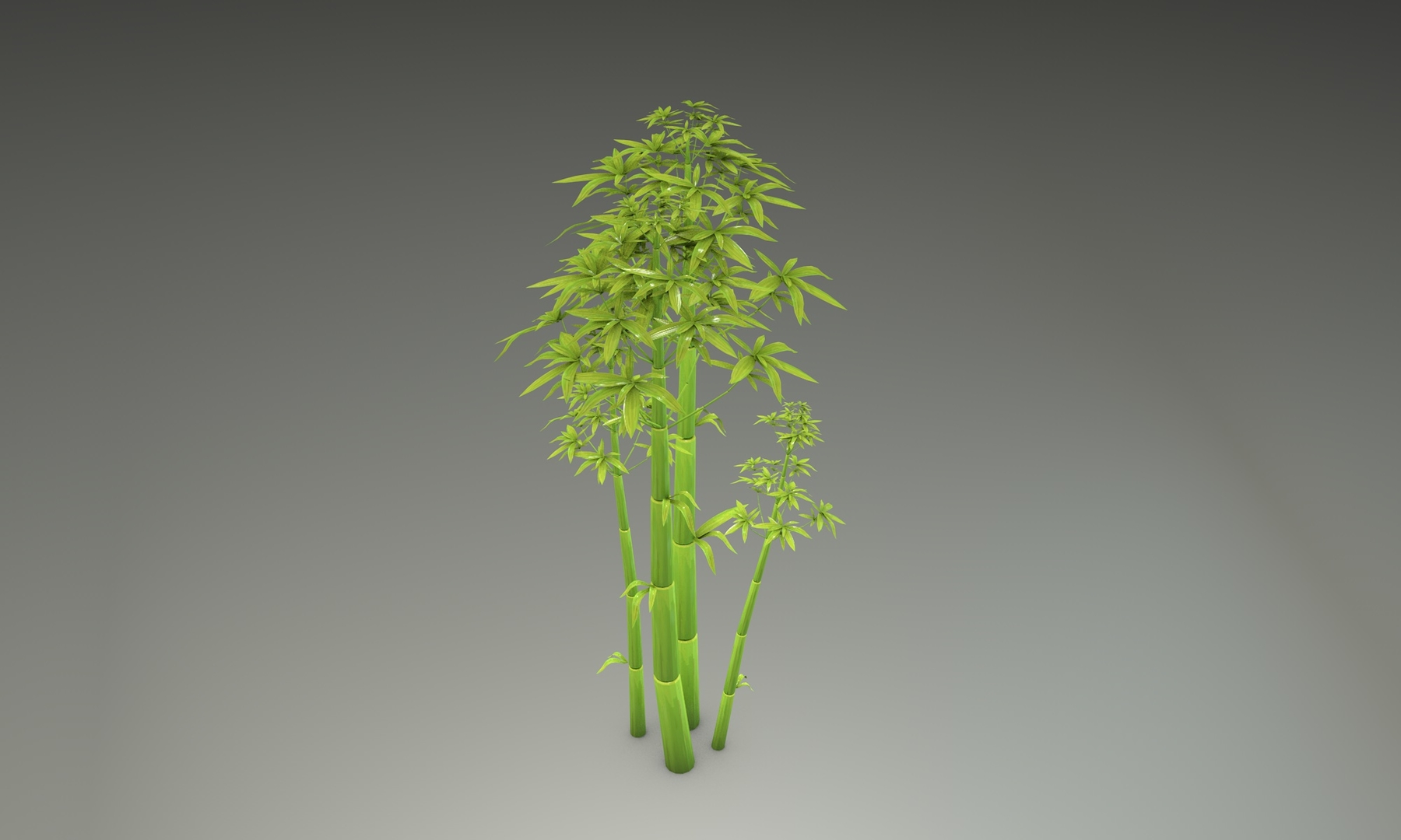 Low poly hand painted bamboo grove 3D-Modell - TurboSquid 1557861