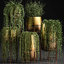 Plants pots interior succulent 3D model - TurboSquid 1558270