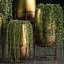 Plants pots interior succulent 3D model - TurboSquid 1558270