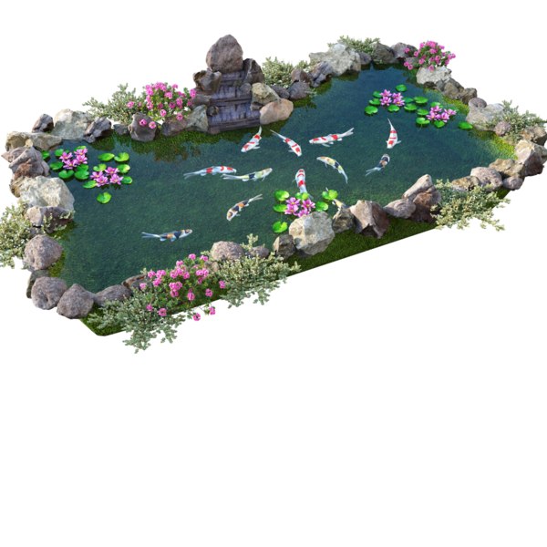 3D Pond Models | TurboSquid
