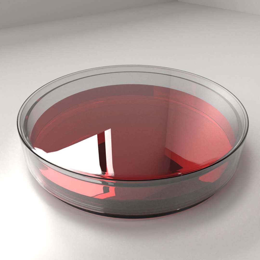 3D model glass petri dish agar - TurboSquid 1559176