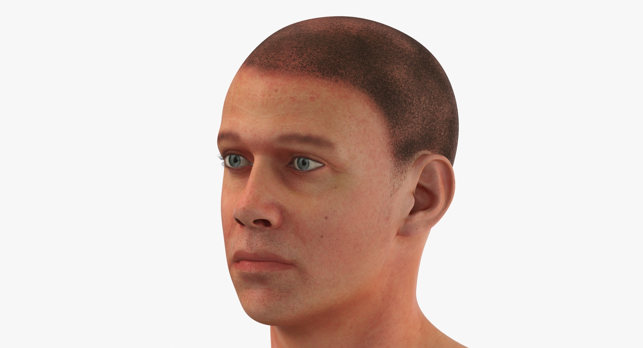 3D male human body t - TurboSquid 1559296